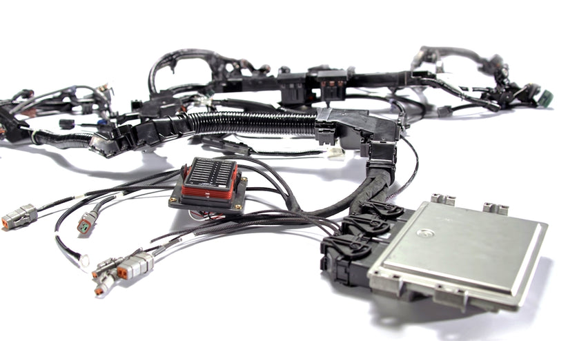 Honda K20C1 Crate Engine w Controls Package – Mountune USA