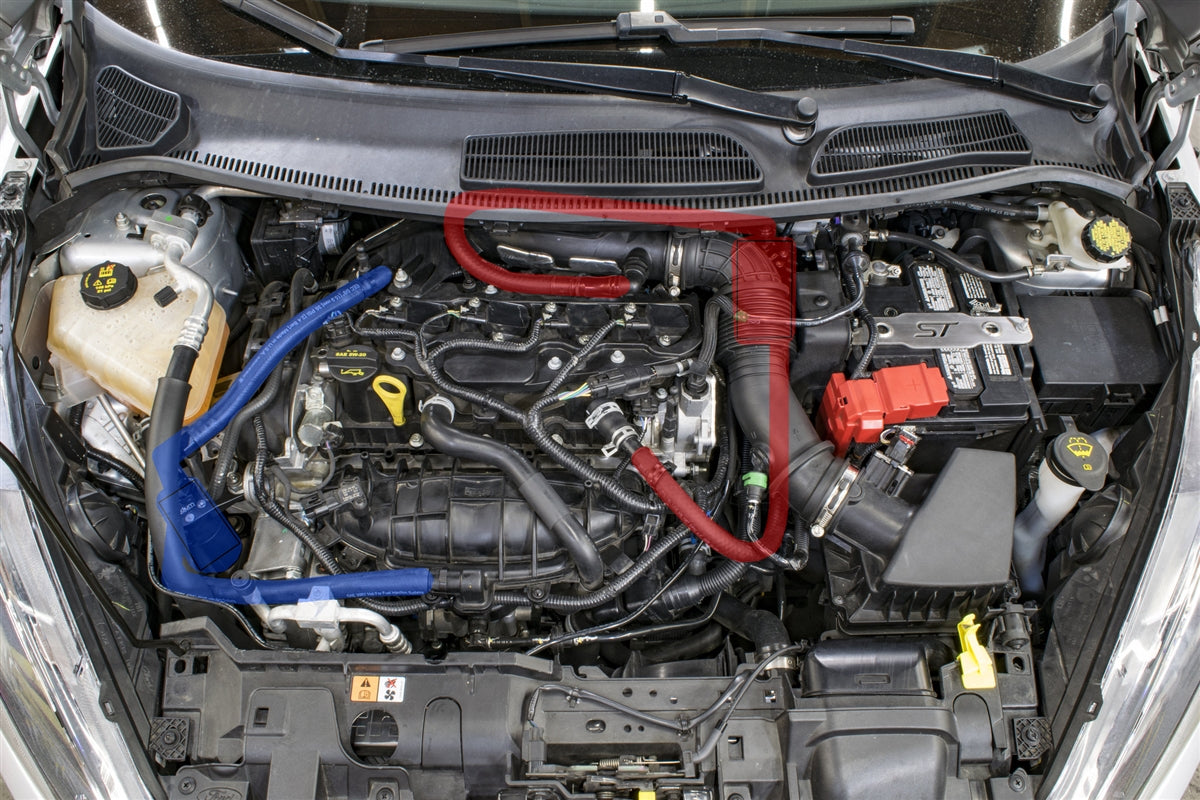 Radium Engineering Catch Can System - Fiesta ST – Mountune USA
